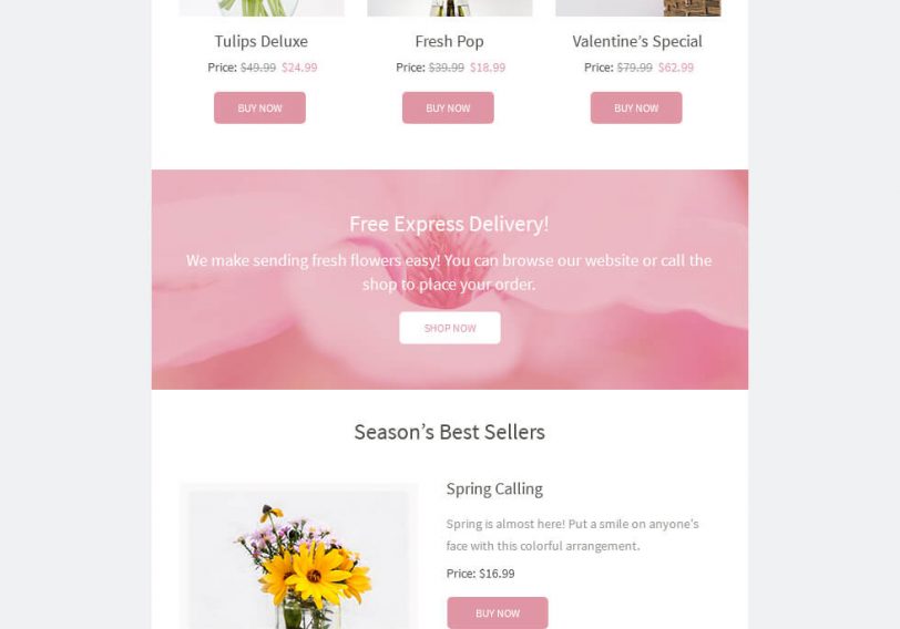 Free & Premium HTML Email Templates by MailBakery